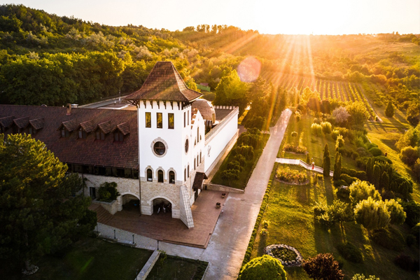 DIRECTOR GENERAL ADJUNCT AL PURCARI WINERIES DIN 1 IANUARIE 2024 VA FI ...